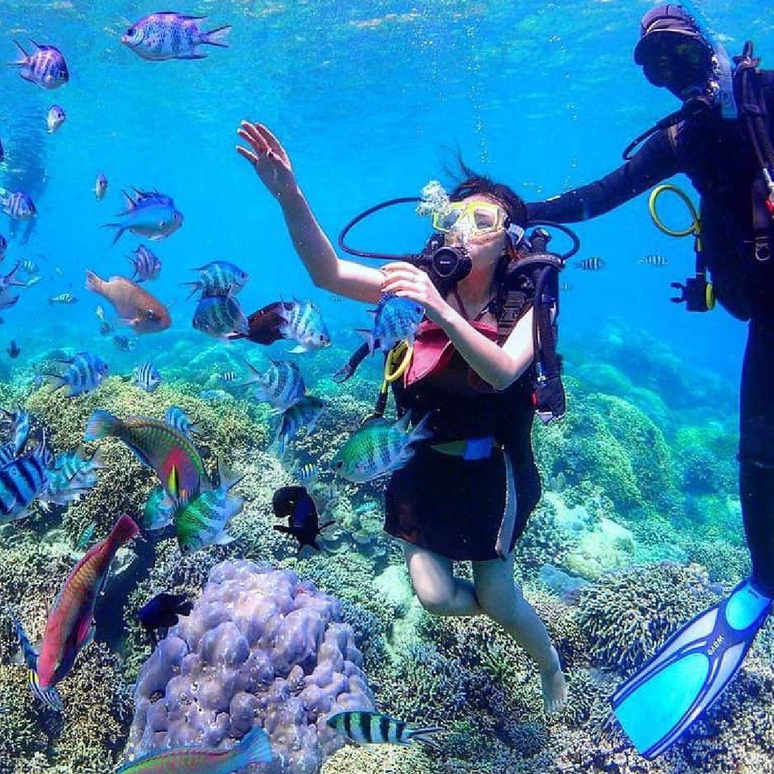 Tour Đảo Nha Trang - Lặn Biển Scuba Diving, Đi Bộ Dưới Biển Sea Walker ...